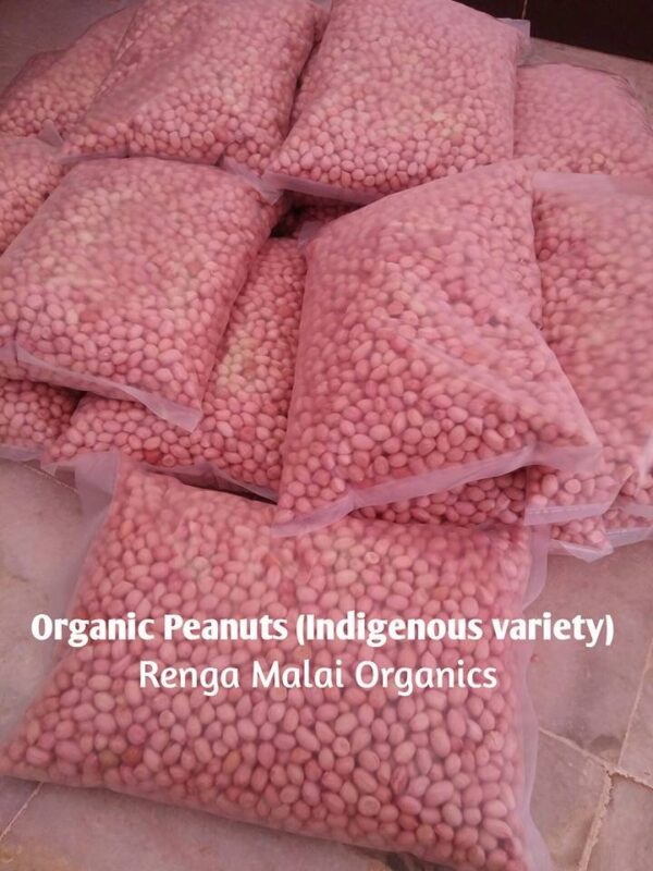 Farm Fresh Premium grade Organic Groundnut/Peanuts