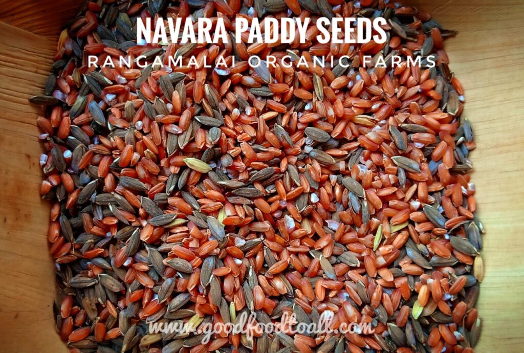 Navara Paddy Seed (Medicinal Red Rice) - Rangamalai Organic Farms ...
