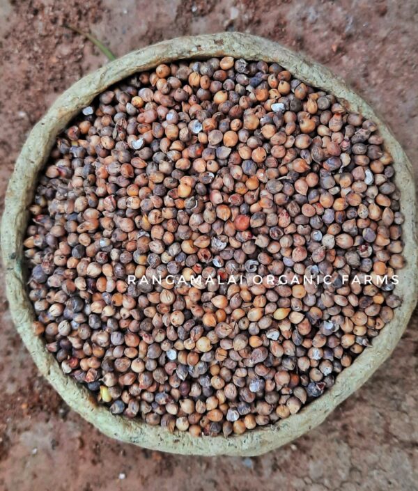 Yellow Sorghum / Manja Makkatta Cholam Seeds, 500g - Rangamalai Organic ...